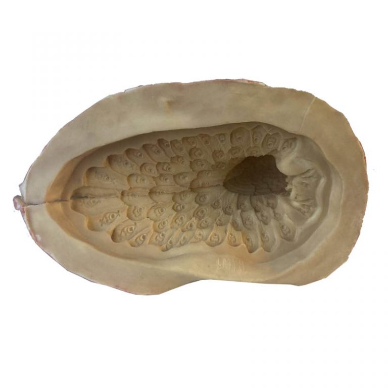 Concrete Bird Peacock Molds For Sale - LCMOLDS.COM